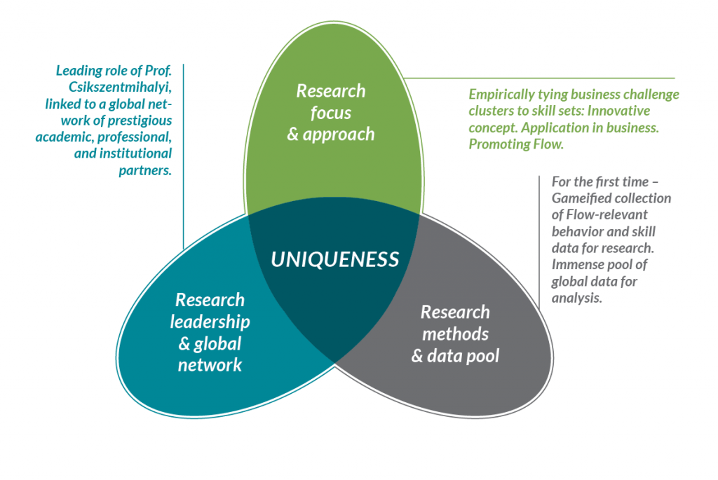 How is the "Leadership&Flow" Research Unique - Leadership & Flow