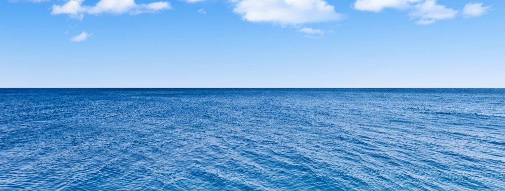 Teaching Blue Ocean - Using FLIGBY in Leadership Class